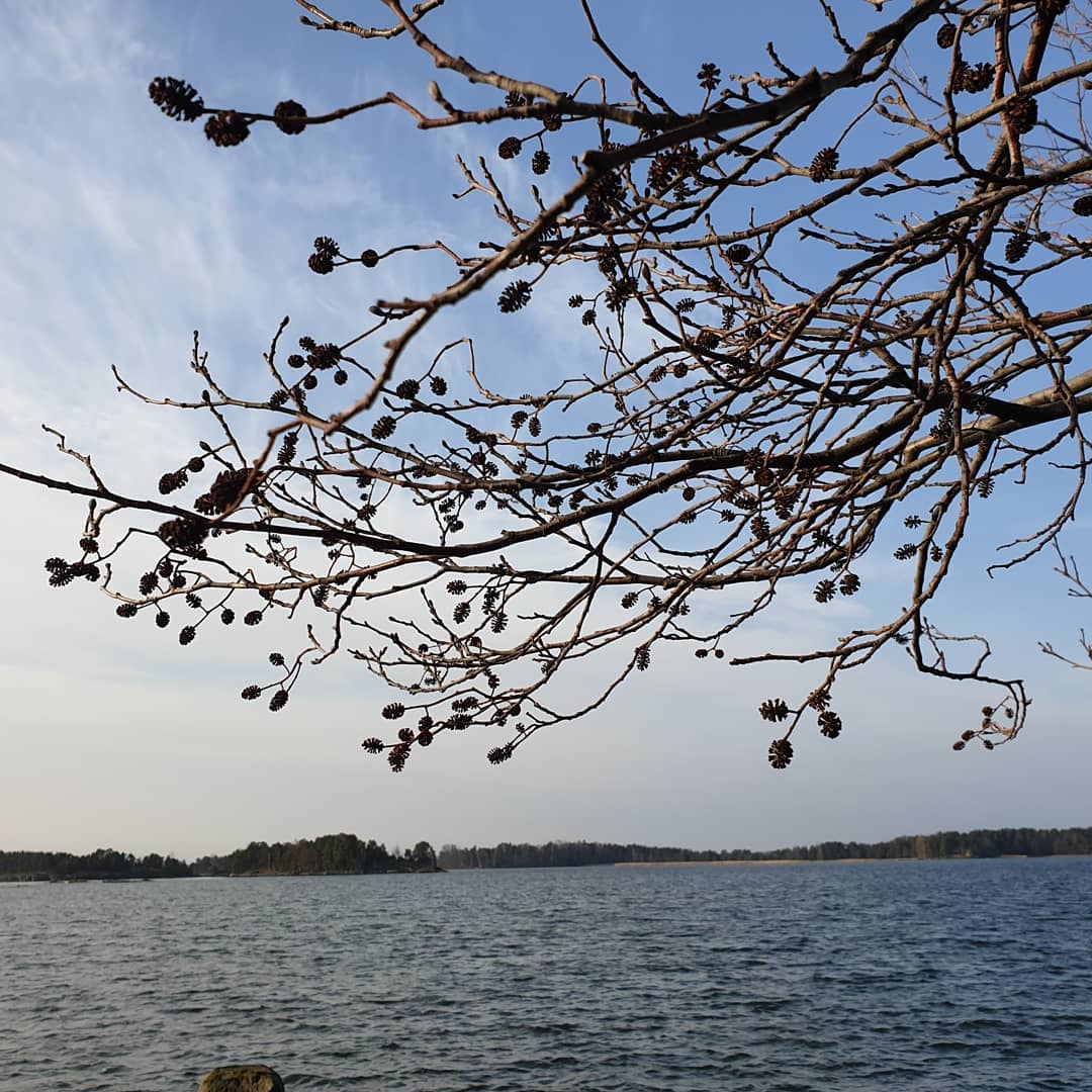 NAPA’s response to the Coronavirus (COVID-19) outbreak – NAPA